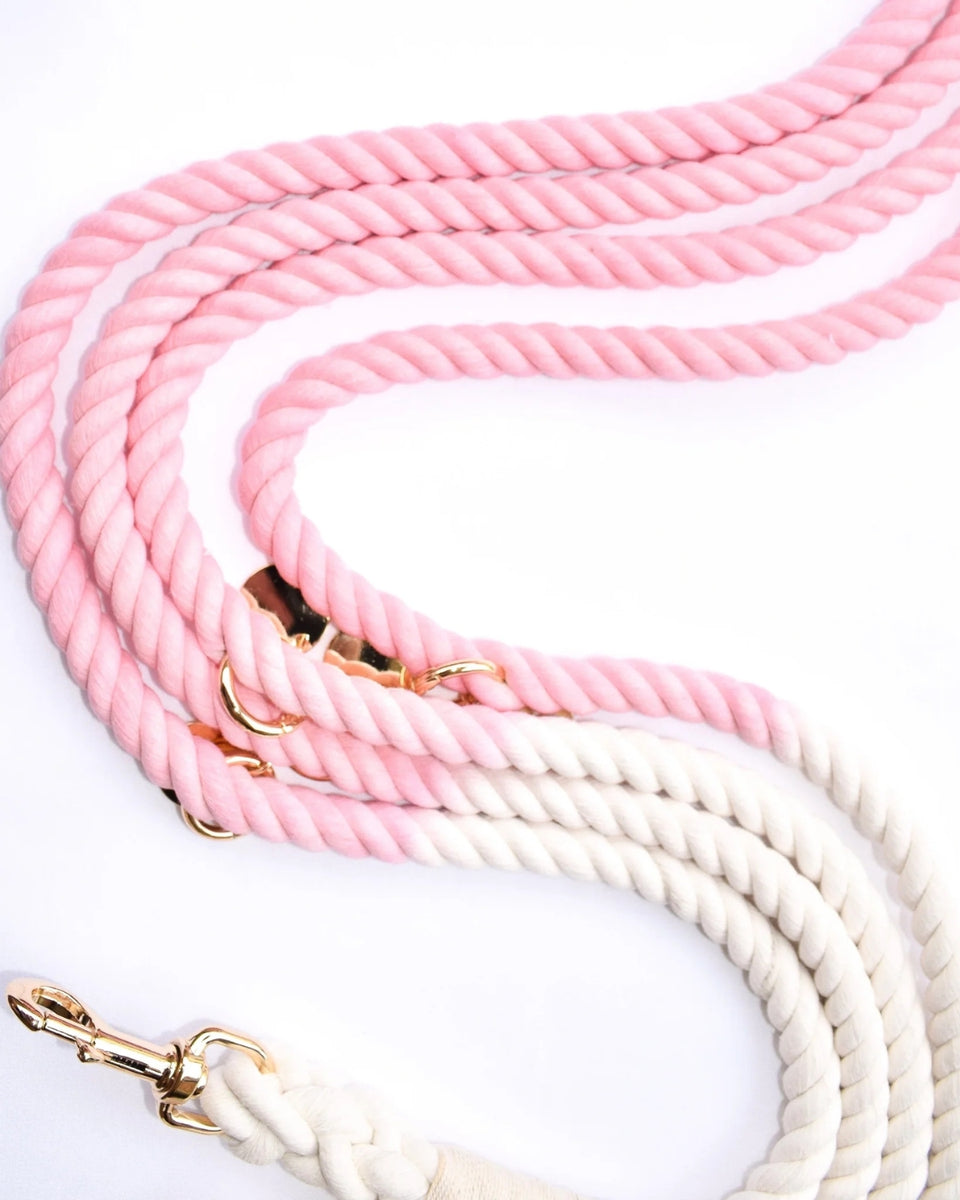 Strawberries and Cream Multifunctional Rope Dog Leash – Pixie Pets Boutique